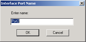 Renaming an Interface Port