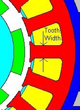 Tooth Width