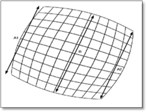 Grid Distortion