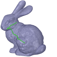 Inserting a Face Curve