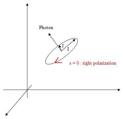 Contents of Ray Files